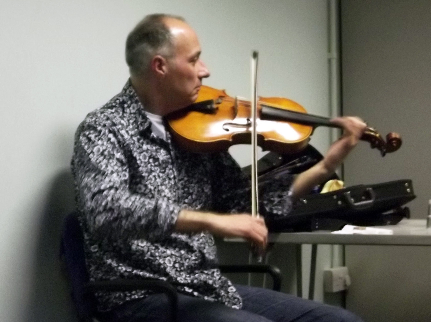 Star Sessions Viola Images